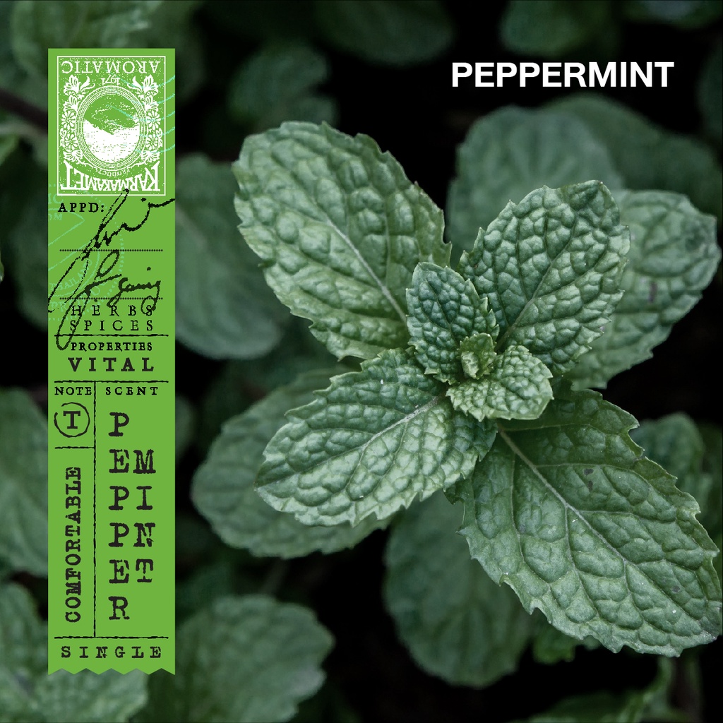 🇹🇭 KARMAKAMET Peppermint Traditional Asian Perfume Sachet 50g - VTENH